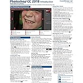 Adobe Illustrator CC 2018 Introduction Quick Reference Guide (Cheat ...