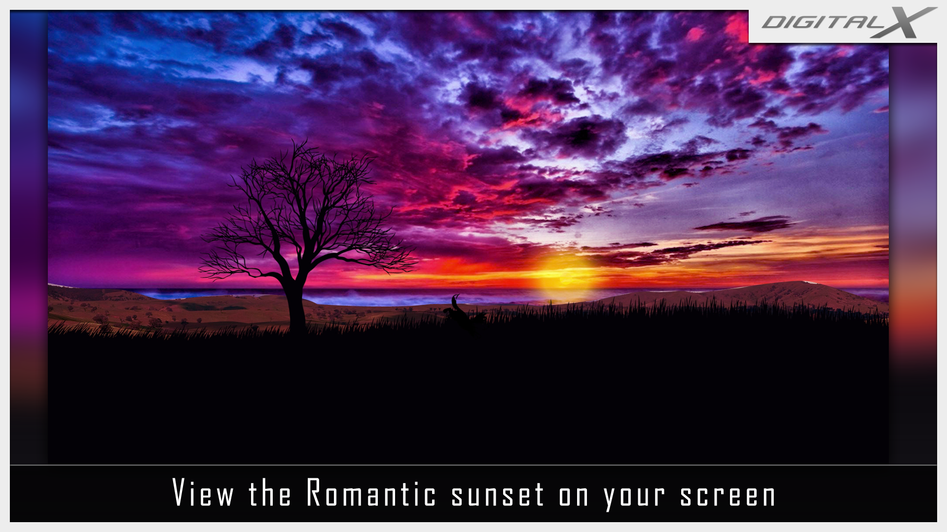 Animated Sun Rise Ambience - A Beautiful Morning Scene: Amazon.ca ...