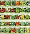 Amazon.com : 100 Assorted Valley Greene Heirloom Vegetable Seeds 100% ...
