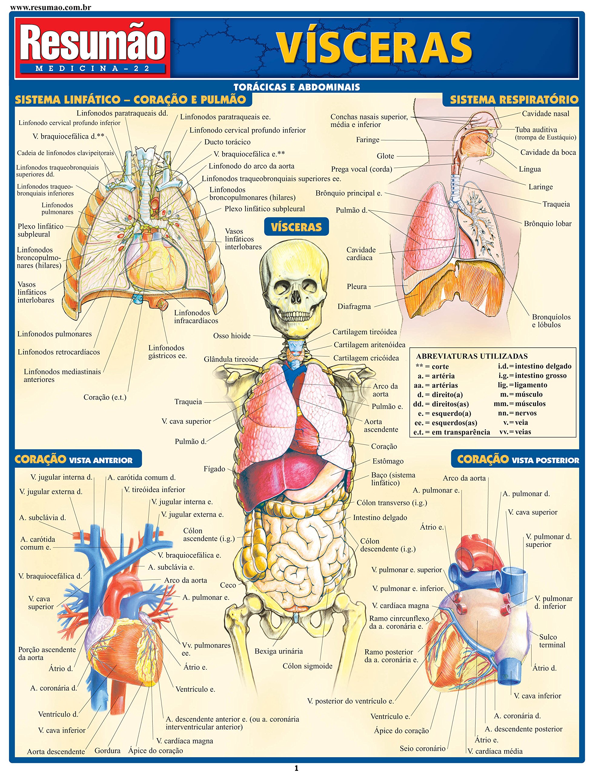 Vísceras PDF Vincent Perez
