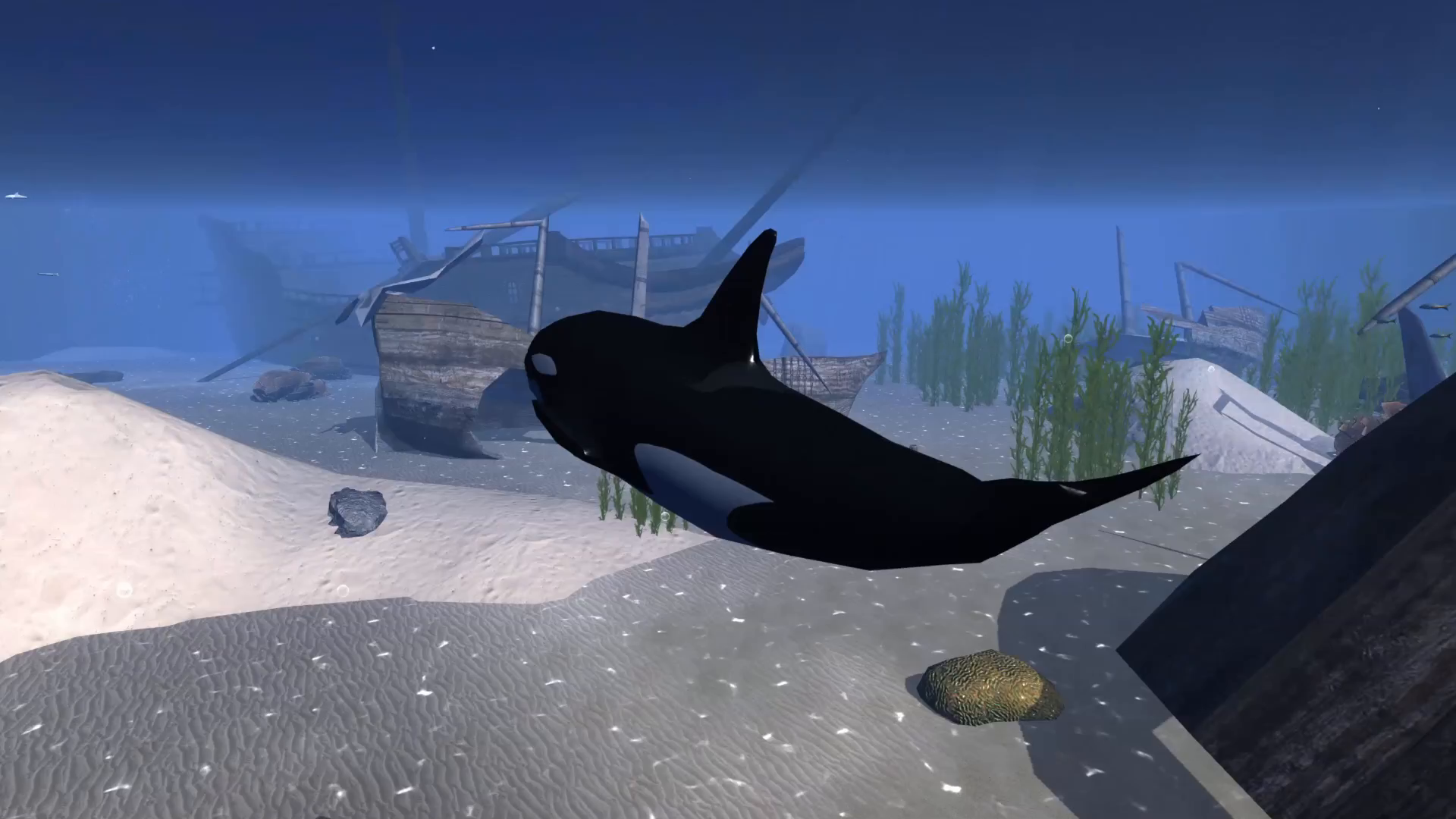 Ultimate Ocean Simulator - App on the Amazon Appstore