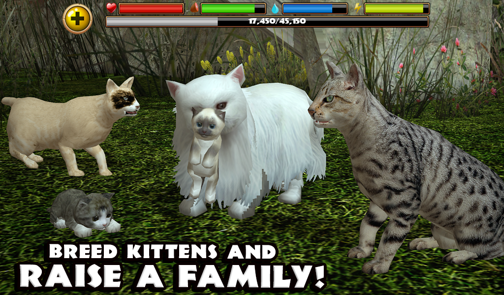 Stray Cat Simulator:Amazon.de:Appstore for Android
