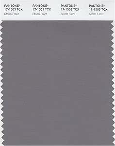 Pantone 17-1503 TCX Smart Color Swatch Card, Storm Front - House Paint ...