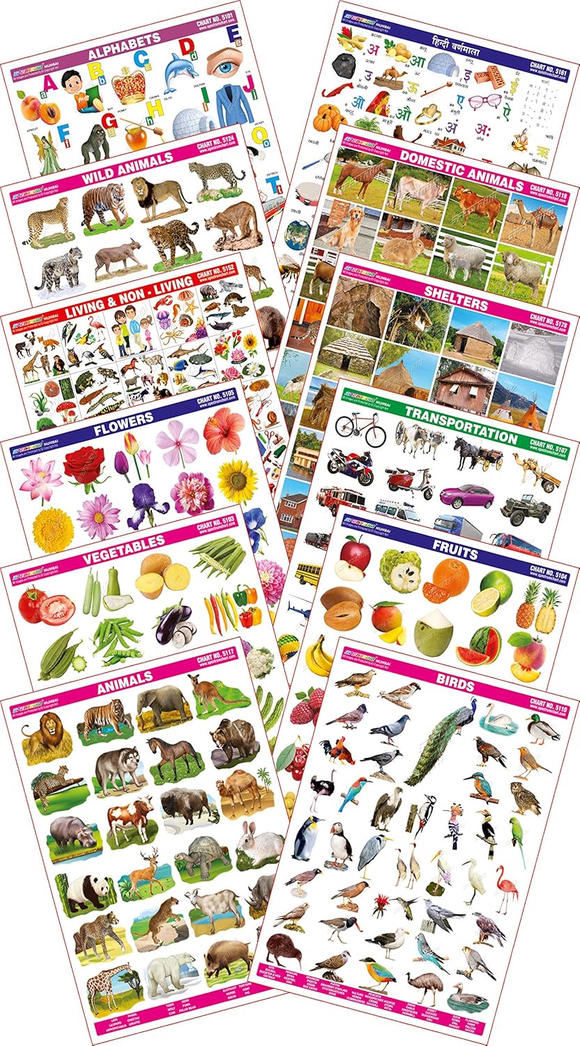 SPECTRUM Pre-School Educational Pictorial Charts - Set of 12: Amazon.in ...