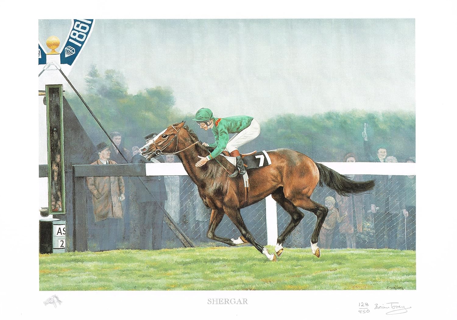 Shergar Print, Shergar Picture, Limited Edition Shergar Print By Brian ...