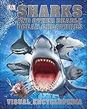 Sharks (Usborne Discovery): Amazon.co.uk: Jonathan Sheikh-Miller: Books