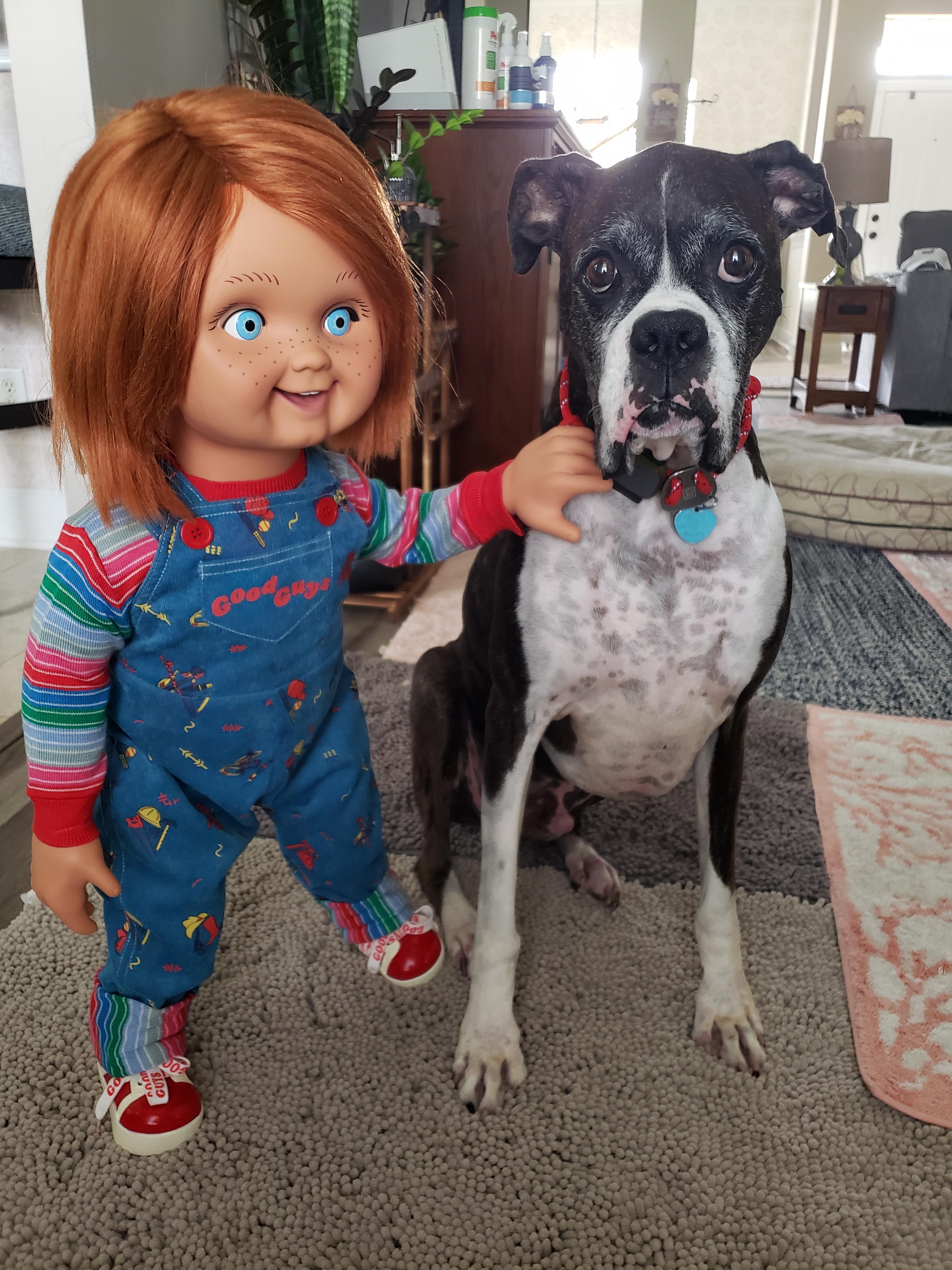 $41/mo - Finance Universal Studios LLC Child's Play 2 Good Guys Chucky ...