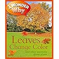 I Wonder Why Leaves Change Color: Charman, Andrew: 9780753466971 ...