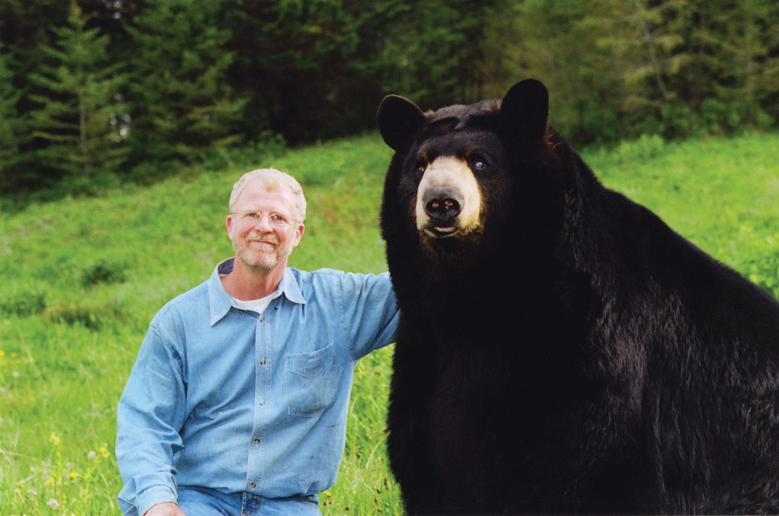 Listen to Audiobooks written by Ben Mikaelsen | Audible.com.au