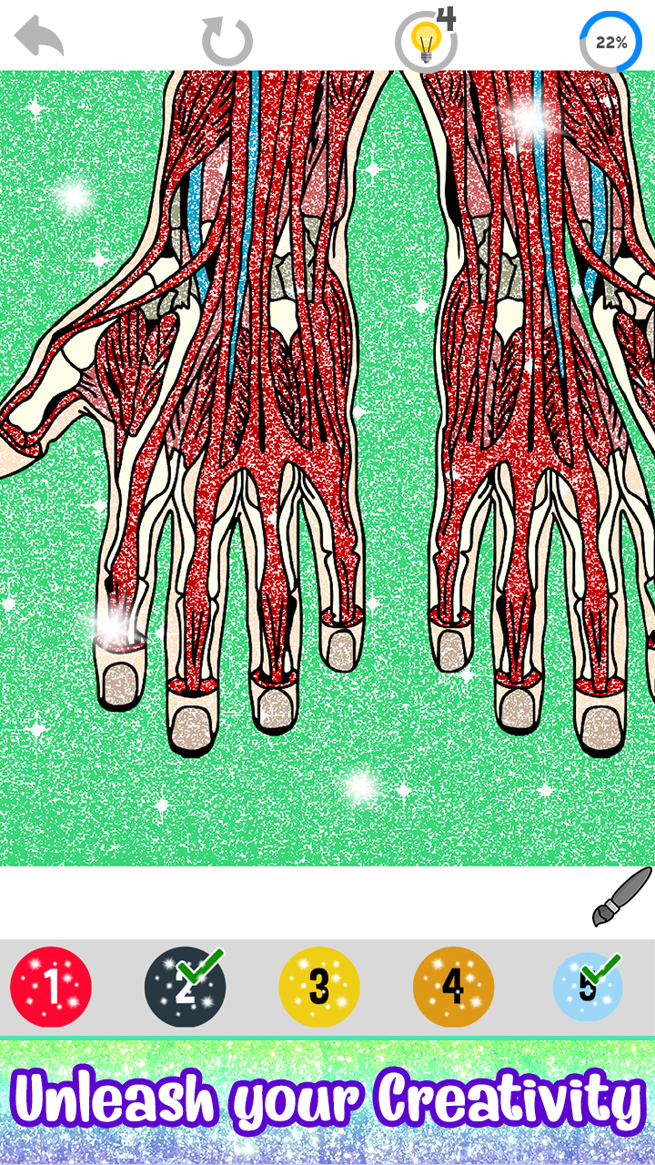 Amazon.com: Human Body Color By Number Art - Anatomy Coloring Book ...