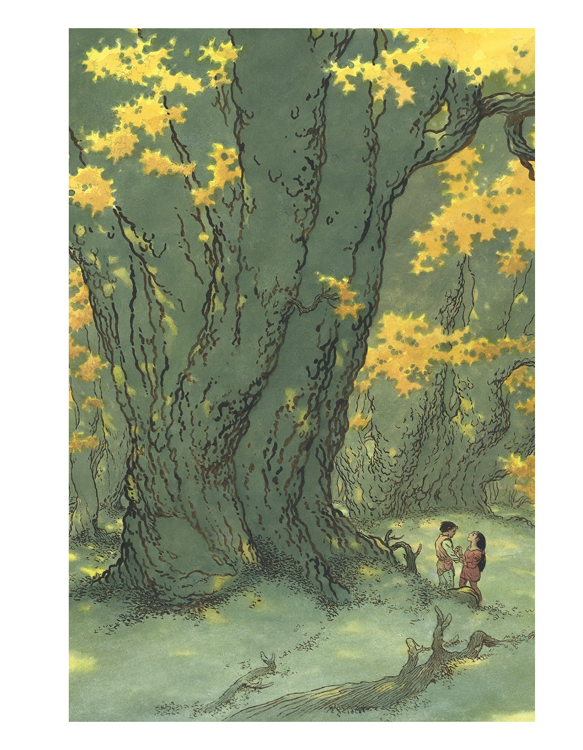The Books of Earthsea: Complete Illustrated Edition releasing this ...