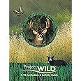 Project WILD K-12 Curriculum & Activity Guide: Project Wild: Amazon.com ...
