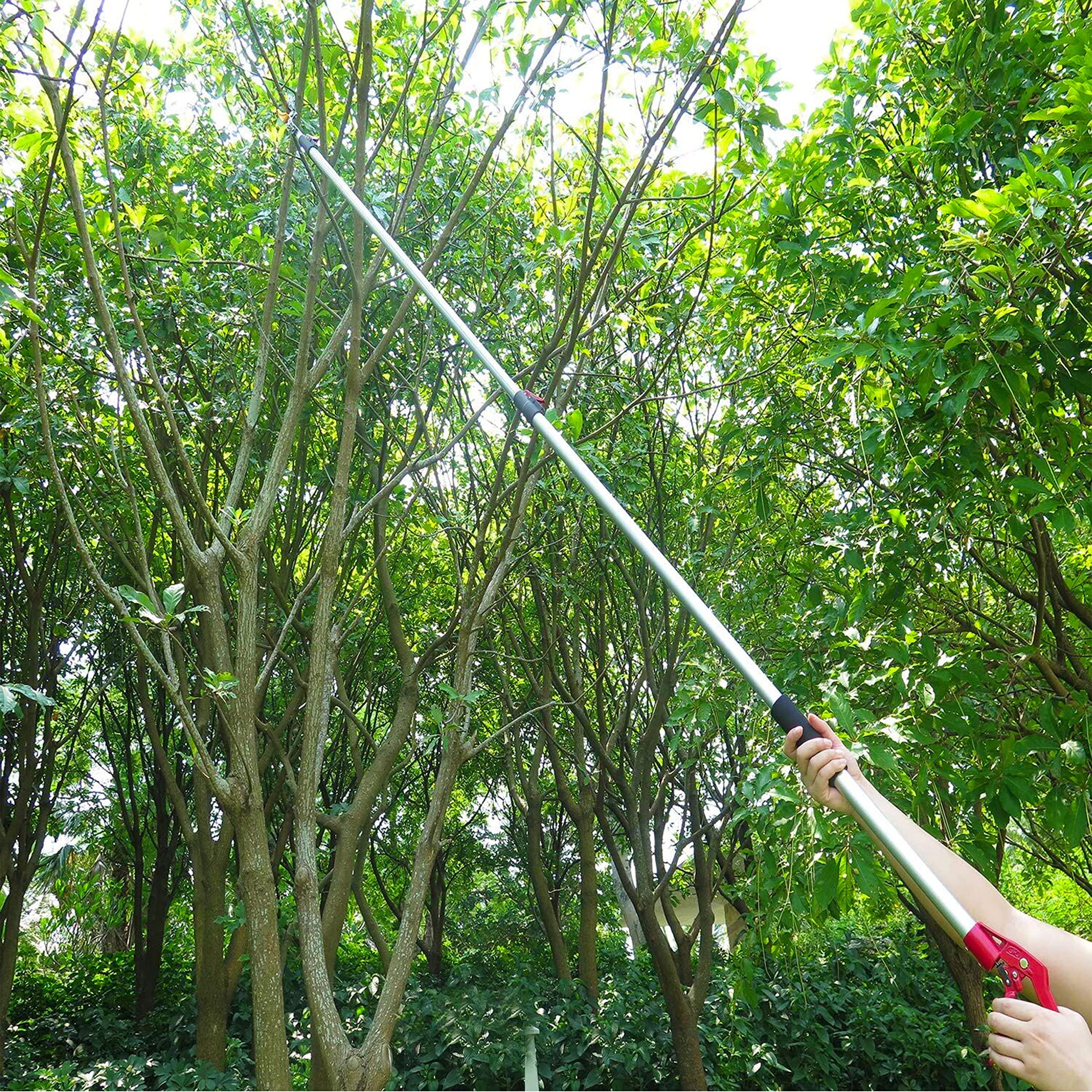 Mua 4.6-10 Foot Extendable Tree Pruner, Cut and Hold Pruning Trimmer, Long Reach Pole Saw ...