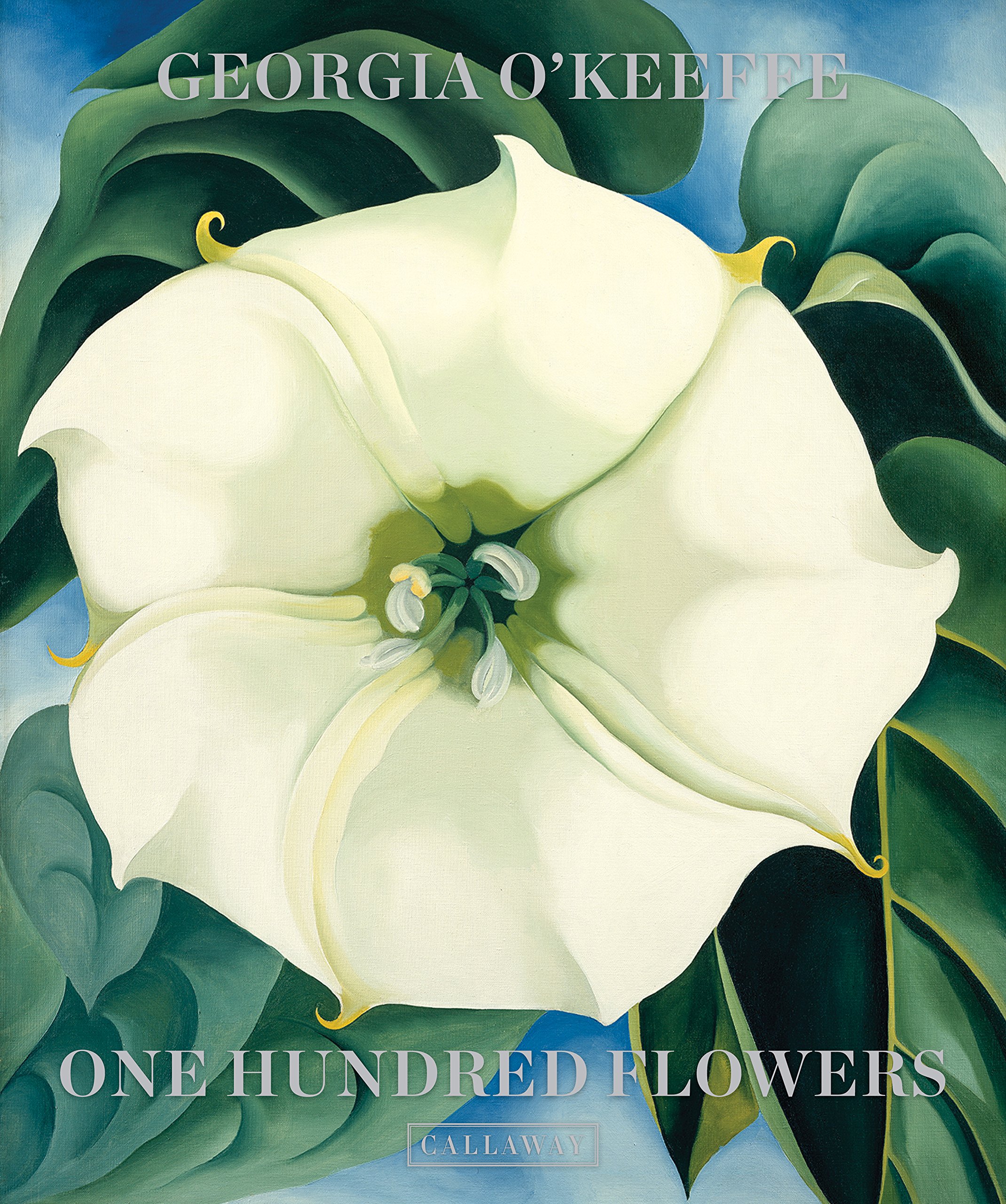 Georgia O Keeffe Flowers | Best Flower Site