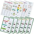 Amazon.com: Spanish Verbs & Beginner Vocabulary Classroom Variety ...