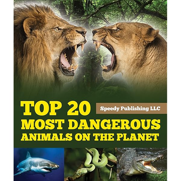 Top 25 Deadliest Animals In The World Deadliest Animals : 25 Most