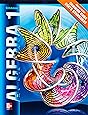 Algebra 1, Student Edition (MERRILL ALGEBRA 1): McGraw Hill ...