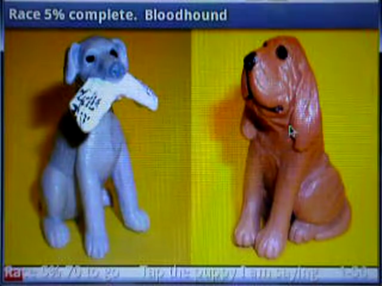 Model Puppy Dog Breeds 1 - App on Amazon Appstore