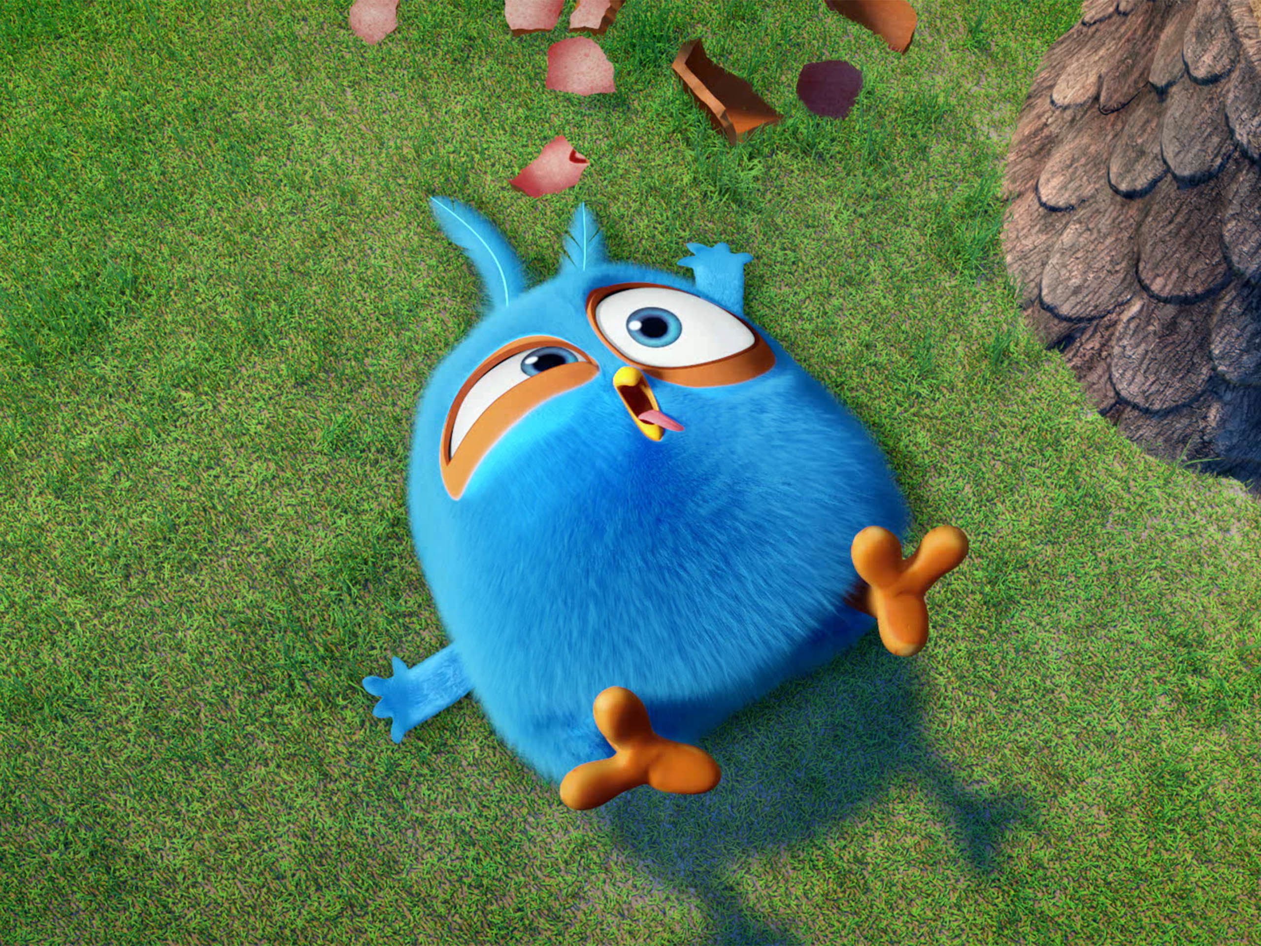 Watch Angry Birds Blues - Season 1 | Prime Video