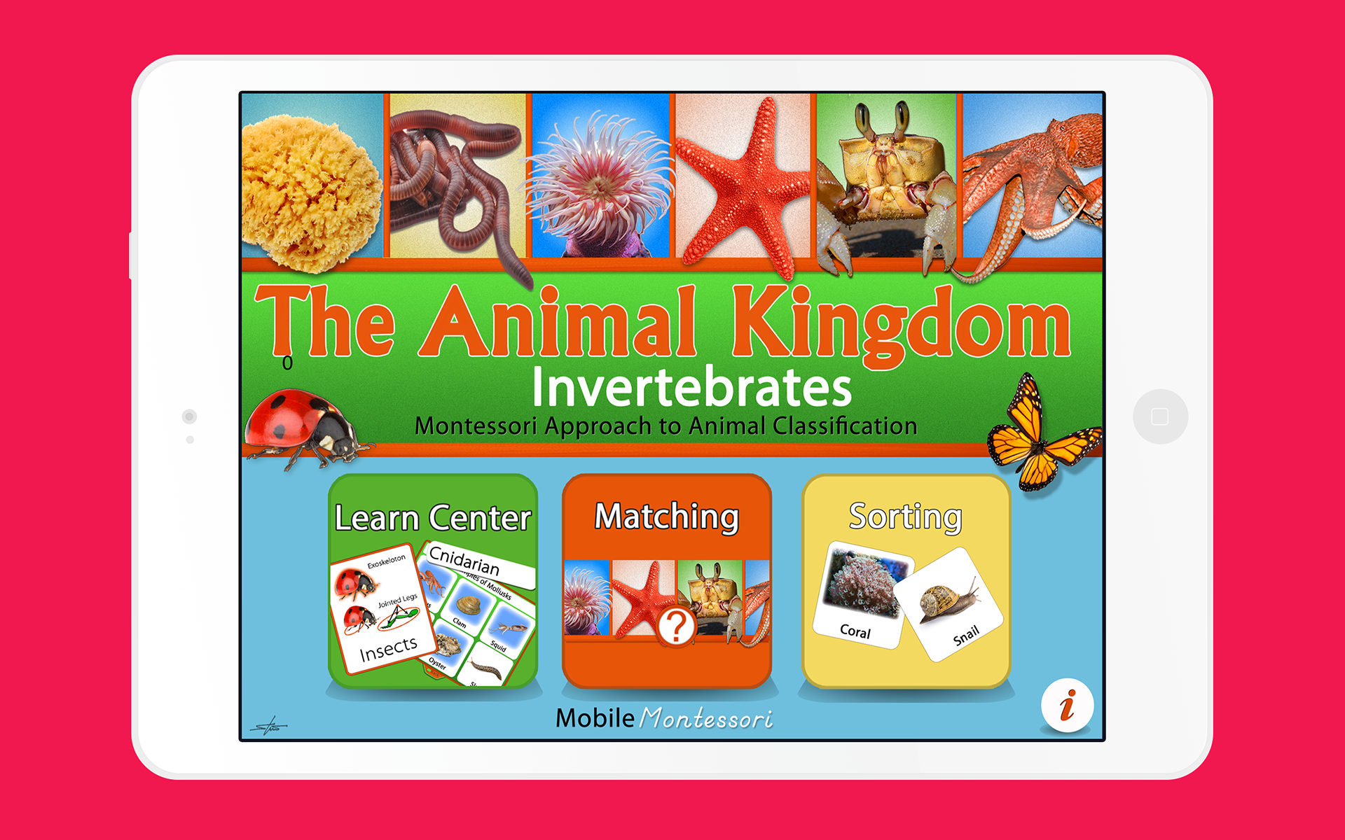 Animal Kingdom Invertebrates - Montessori Zoology : Amazon.es: Apps y ...