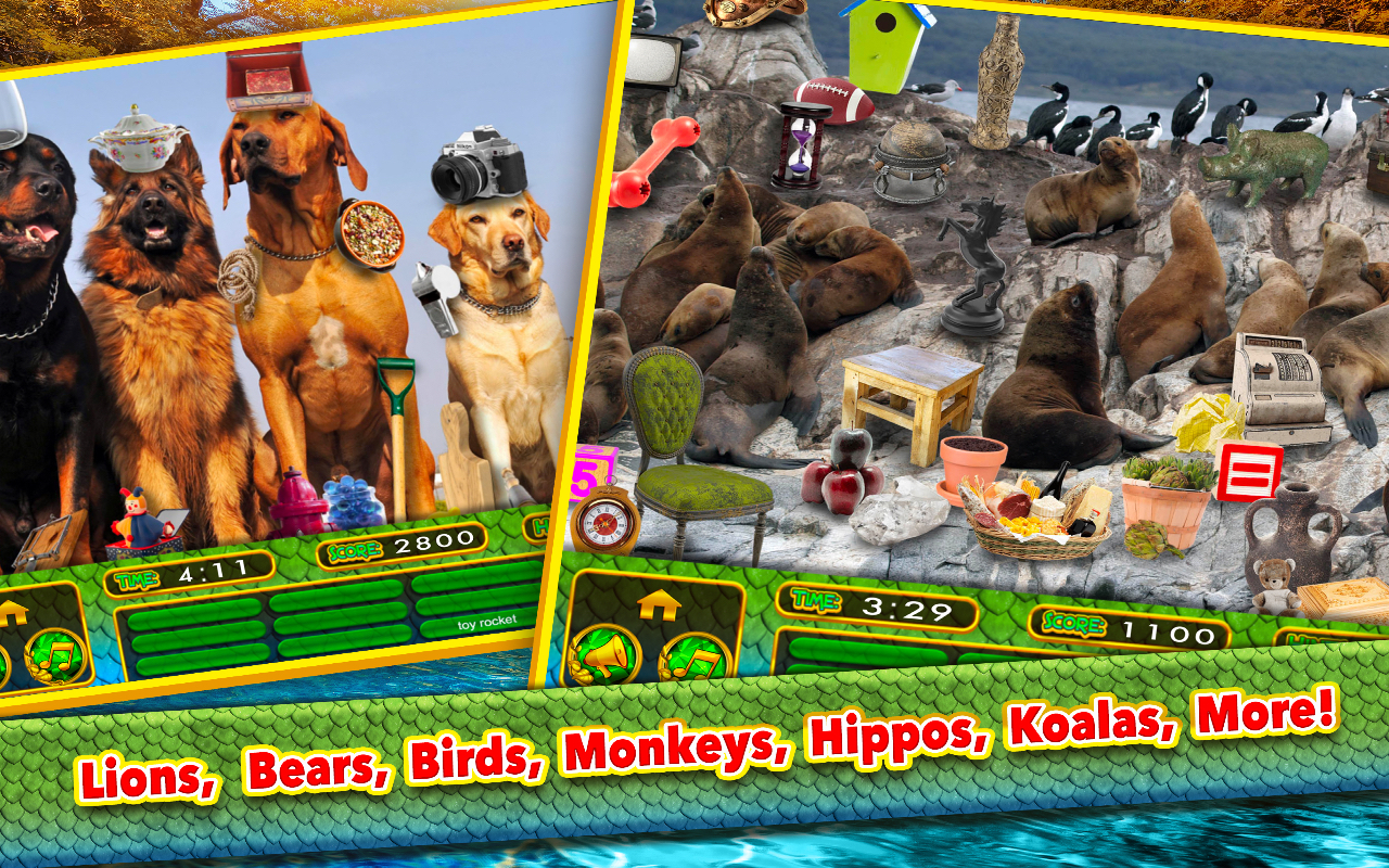 Amazon.com: Hidden Objects Animals – Worldwide Animal Kingdom Seek & Find Object Puzzle Photo ...