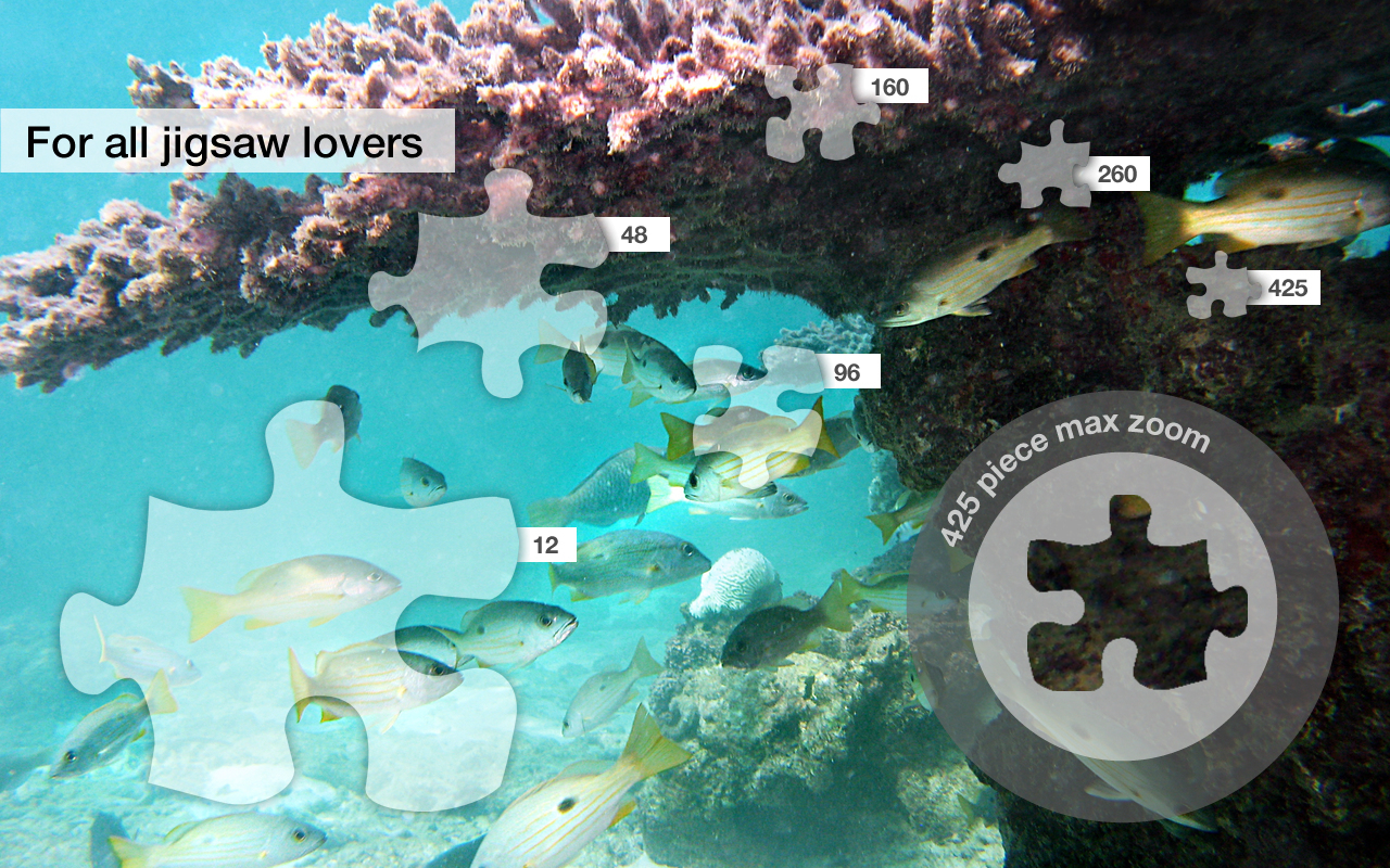 Amazon.com: Ocean Jigsaw Puzzles: Appstore for Android