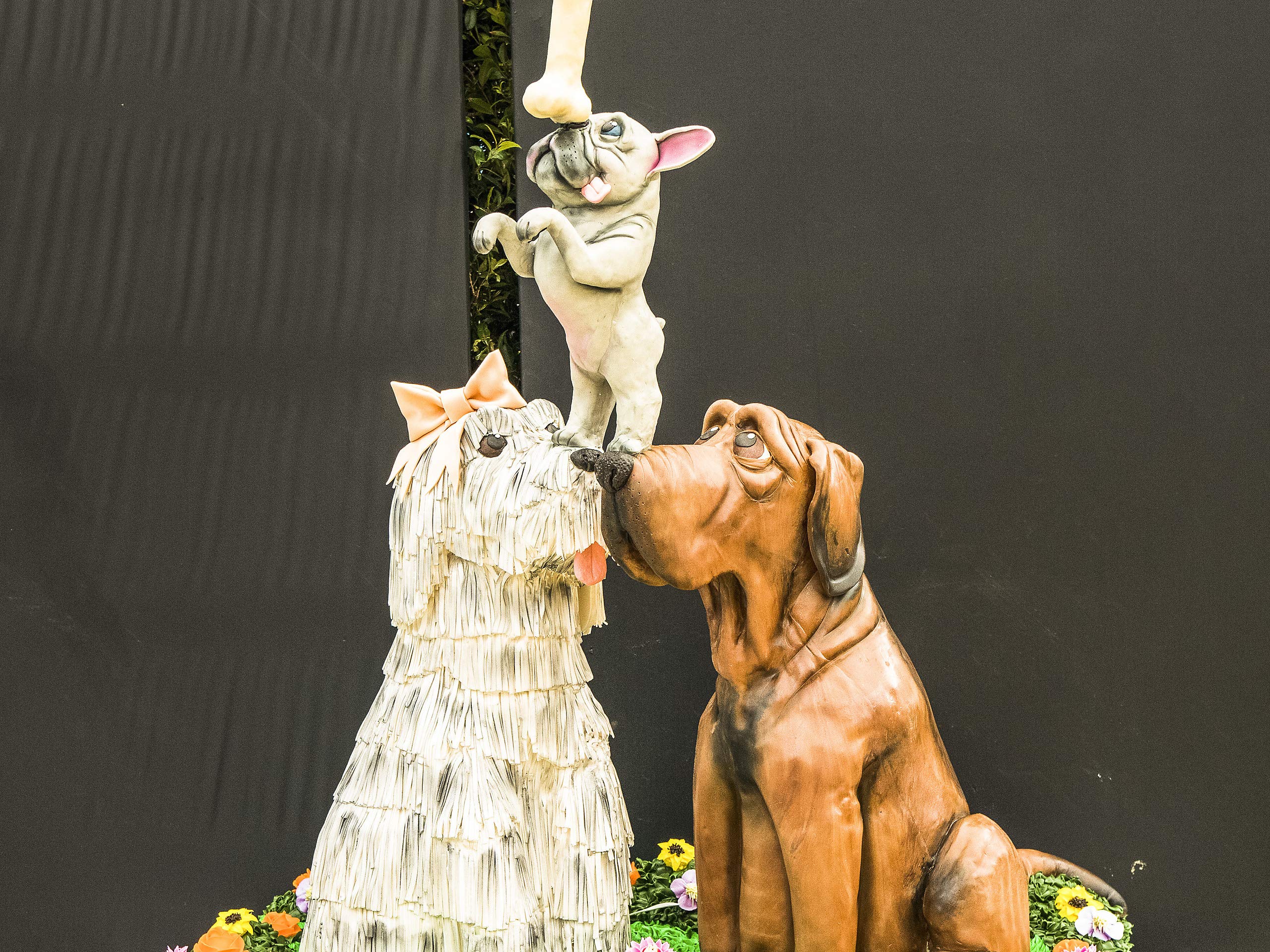 Watch Buddy vs. Duff, Season 1 | Prime Video