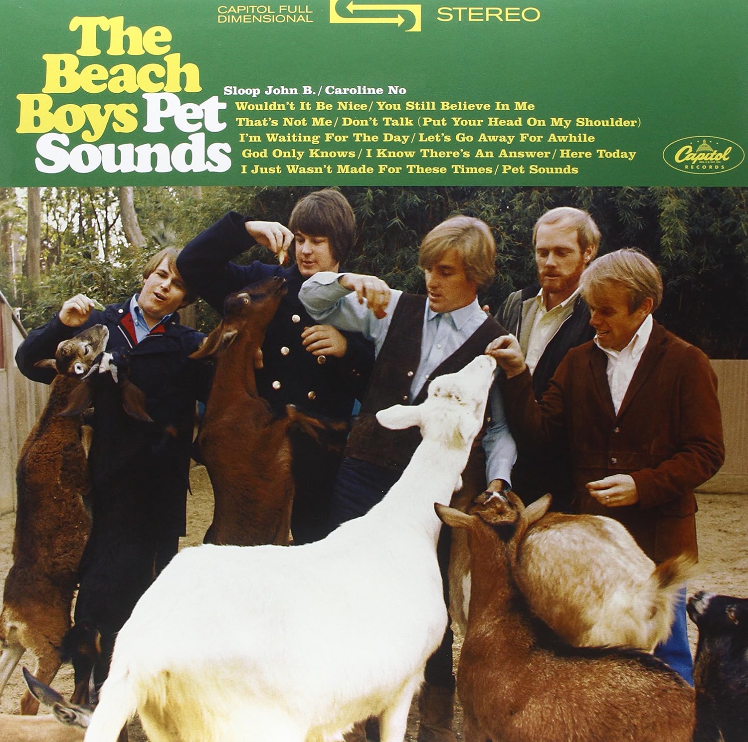 Pet Sounds Amazon de Musik CDs Vinyl
