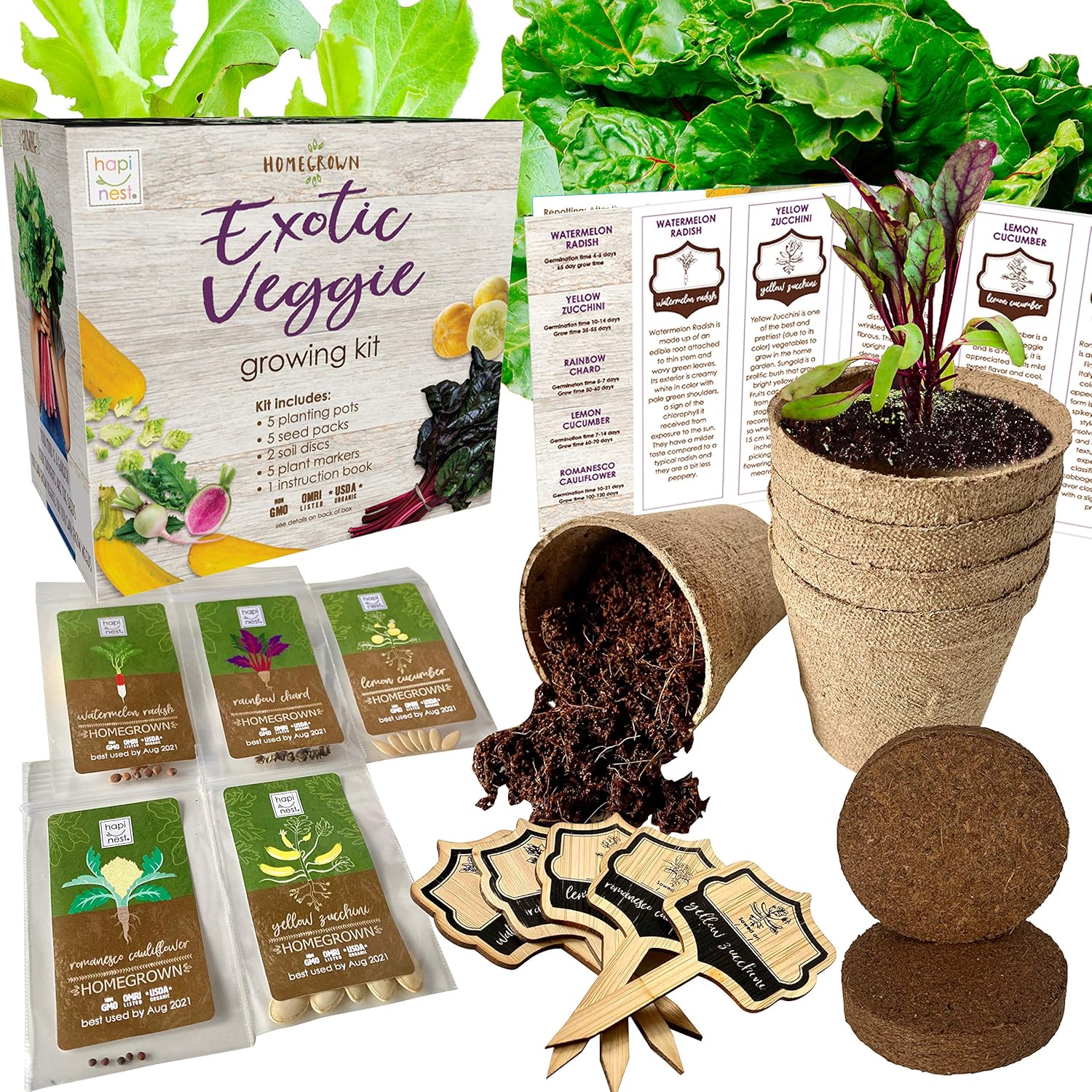 Amazon.com : Exotic Vegetable Indoor Garden Seed Starter Growing Kit ...