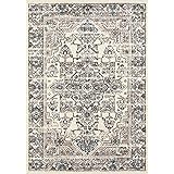 Amazon.com: Maples Rugs Vivian Medallion Area Rugs for Living Room ...