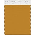 PANTONE Smart 17-1048X Color Swatch Card, Inca Gold - Wall Decor ...