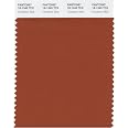 Pantone 18-1345 TCX Smart Color Swatch Card, Cinnamon Stick - House ...