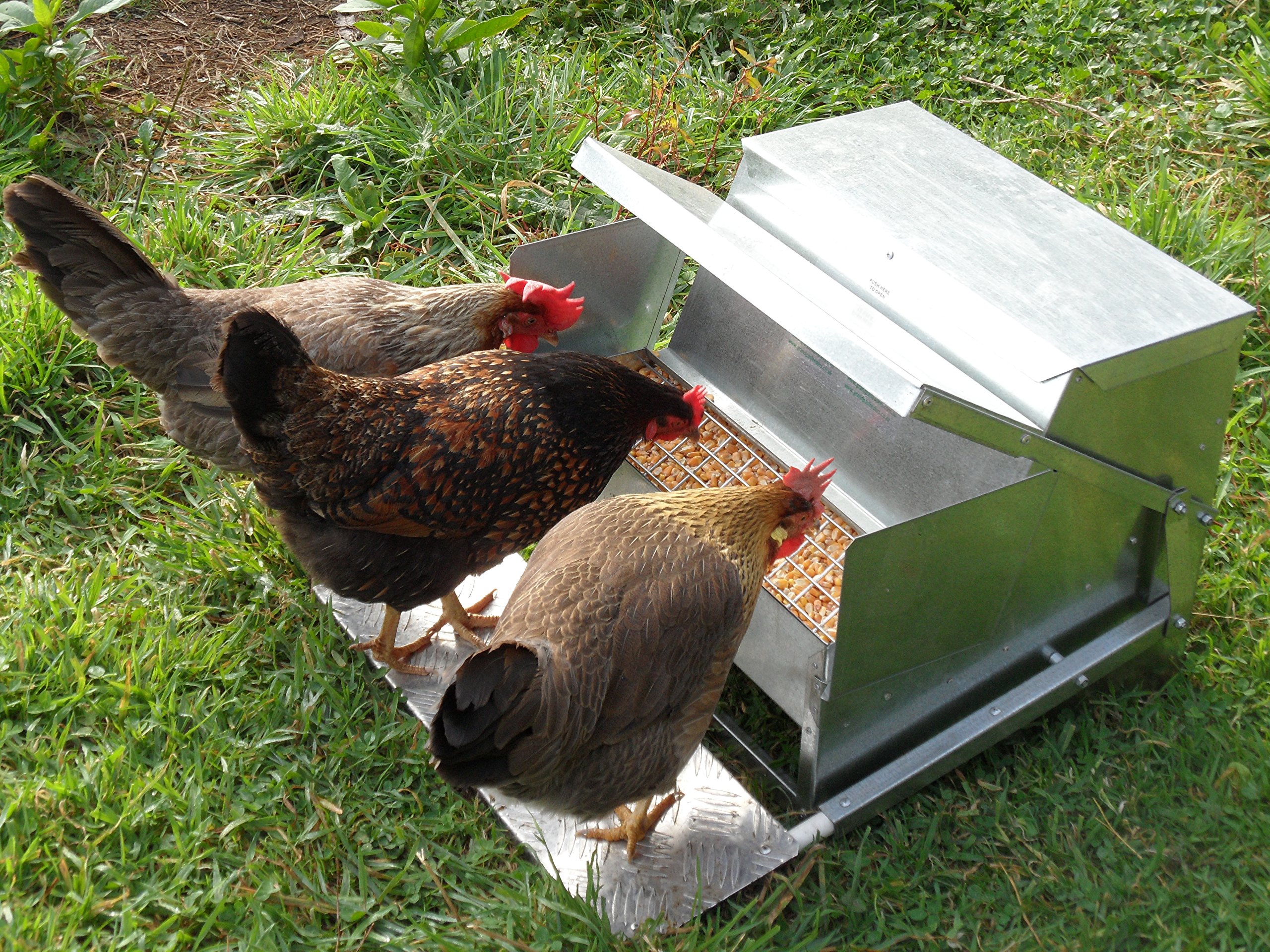 Grandpa s Feeders Automatic Chicken Feeder Long Lasting Galvanized 