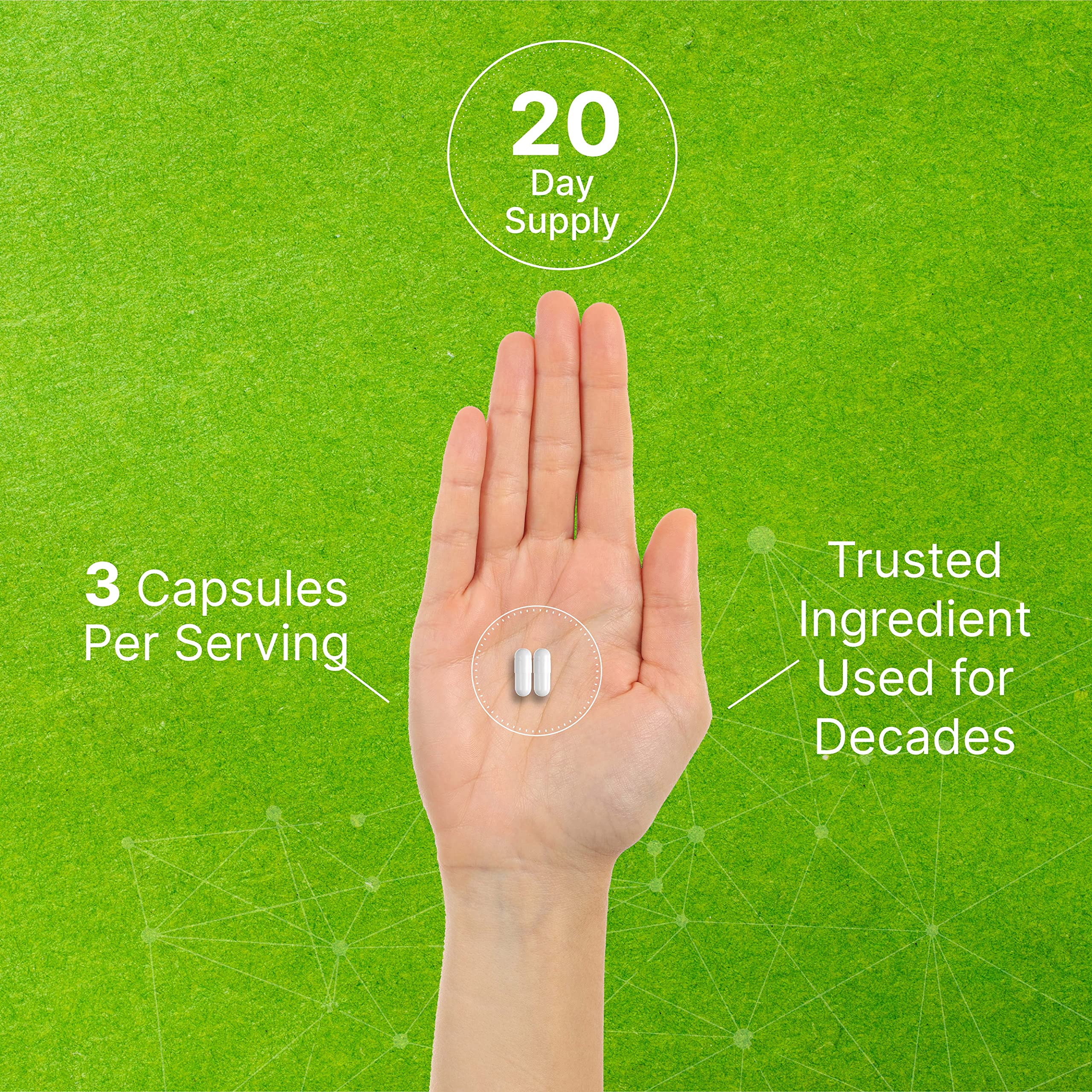 Mua TUDCA 1000mg, 60 Capsules – Ultra Strength Bile Salt Supplement, 99 ...