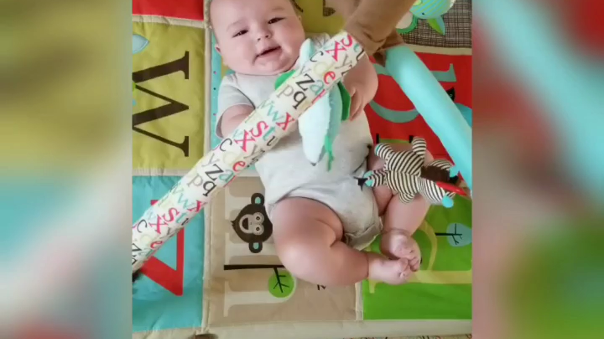 Watch Skip Hop Alphabet Zoo Activity Gym, Multi on Amazon Live