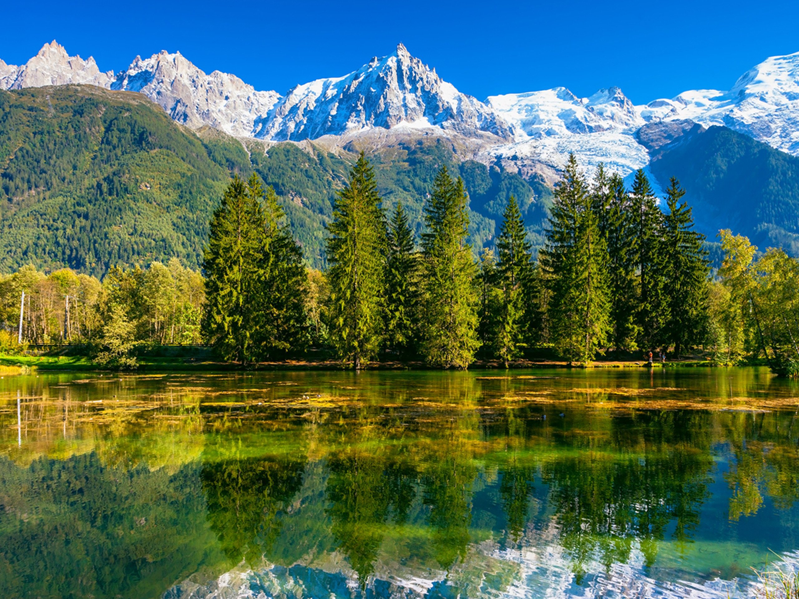 Watch Learning French: A Rendezvous with French-Speaking Cultures ...