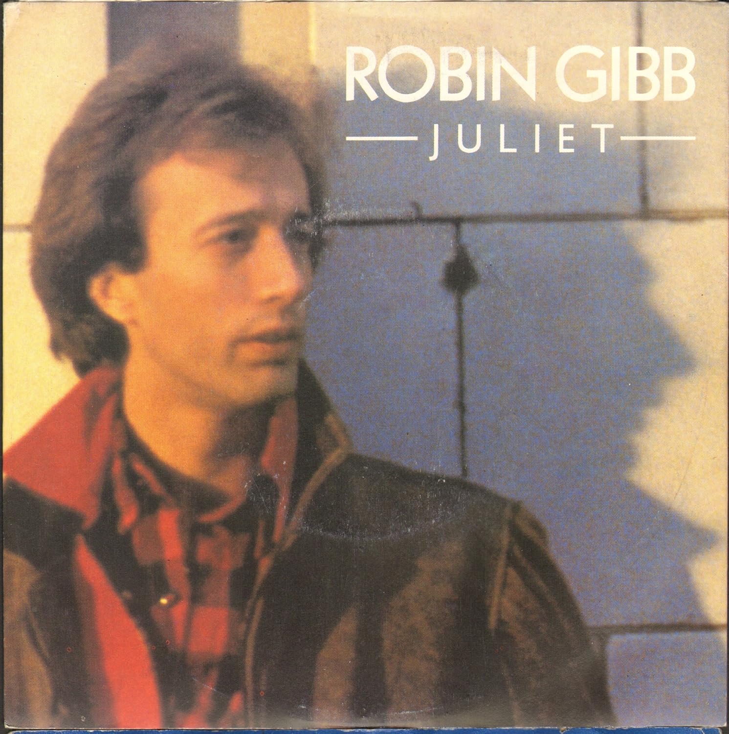 Juliet (1983) / Vinyl single [Vinyl-Single 7'']: Amazon.co.uk: Music