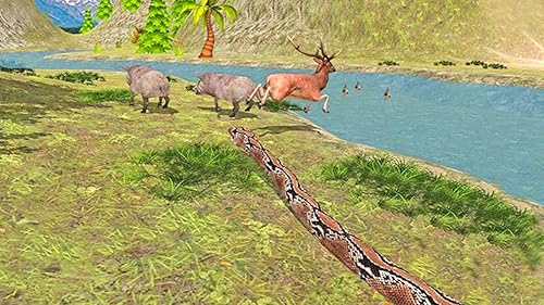 Real Anaconda Wild Jungle Hunting Attack; Offline Snake Games for Free ...