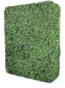 Amazon.com: 3rd Street Inn Rectangle Boxwood Hedge Wall - Outdoor ...