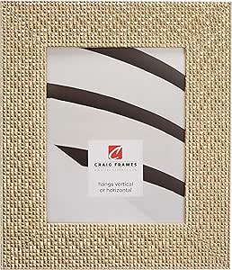 Amazon.com: Craig Frames Glimmer Picture Frame, 20 x 30 Inch, Gold ...