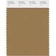 PANTONE Smart 17-1125X Color Swatch Card, Dijon - Wall Decor Stickers ...