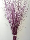 Decorative Coloured Birch Twigs and branches - White - 90cm's - 25 ...