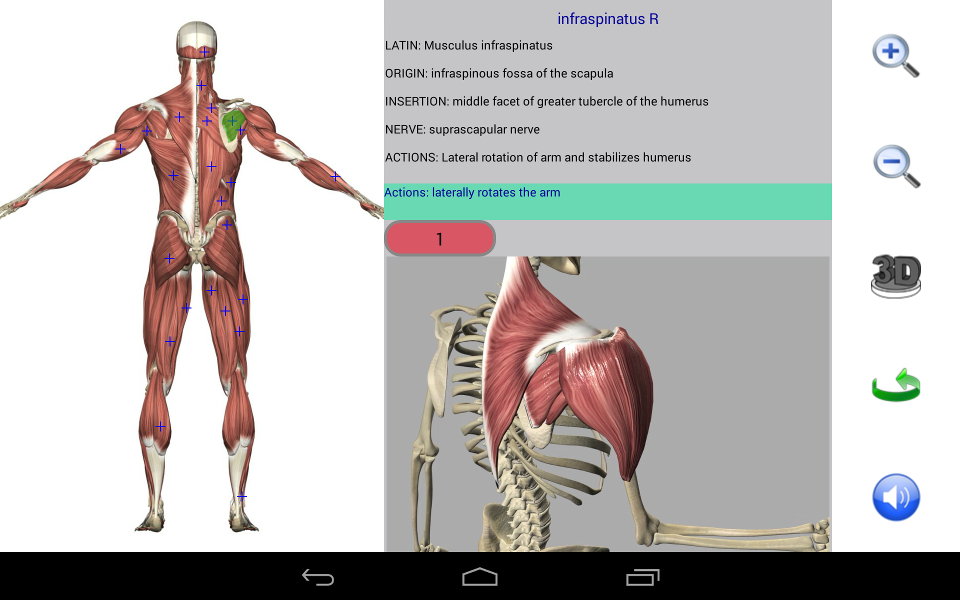 Visual Anatomy:Amazon.com:Appstore for Android