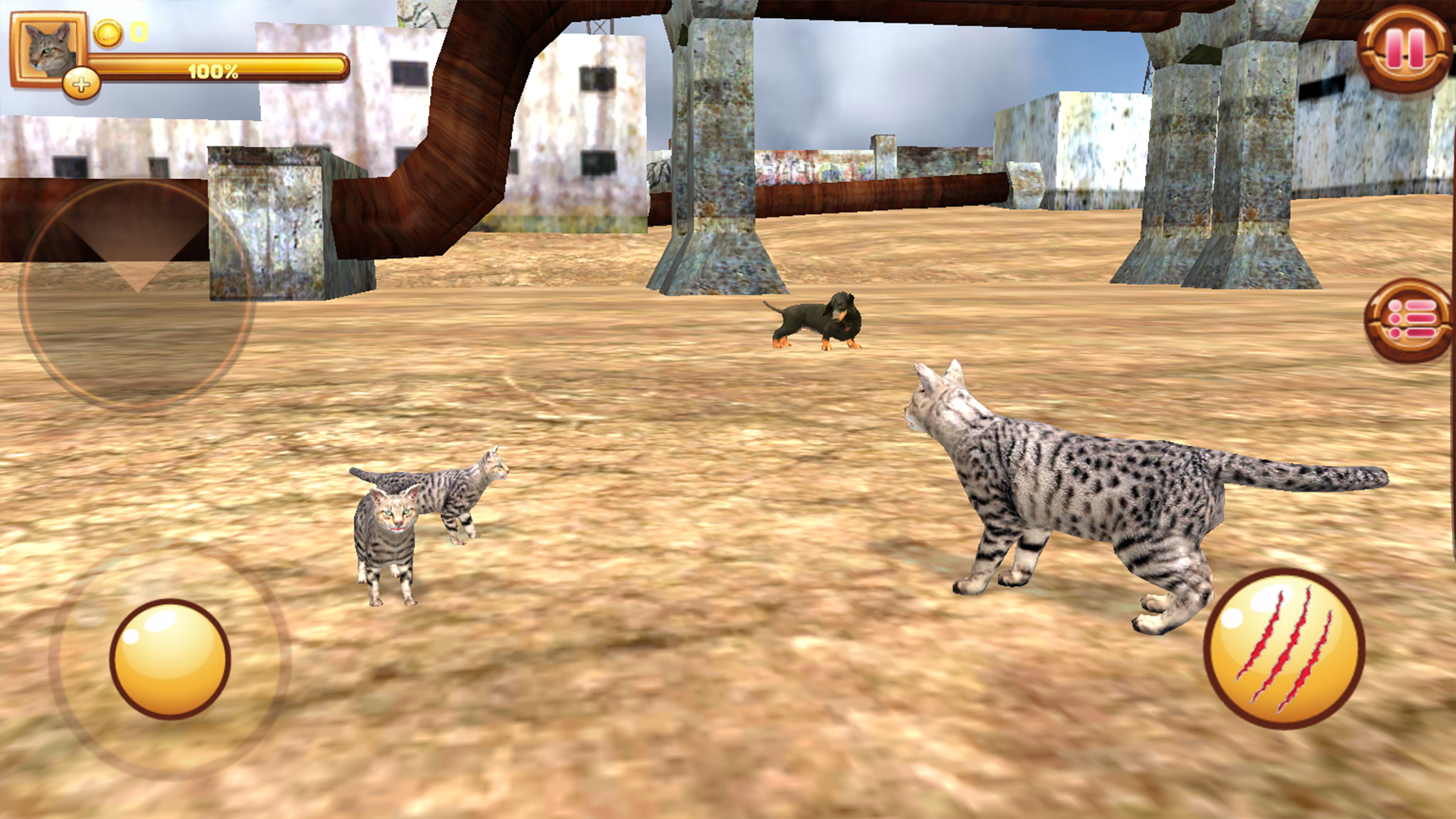Homeless Cat Simulator:Amazon.co.uk:Appstore for Android