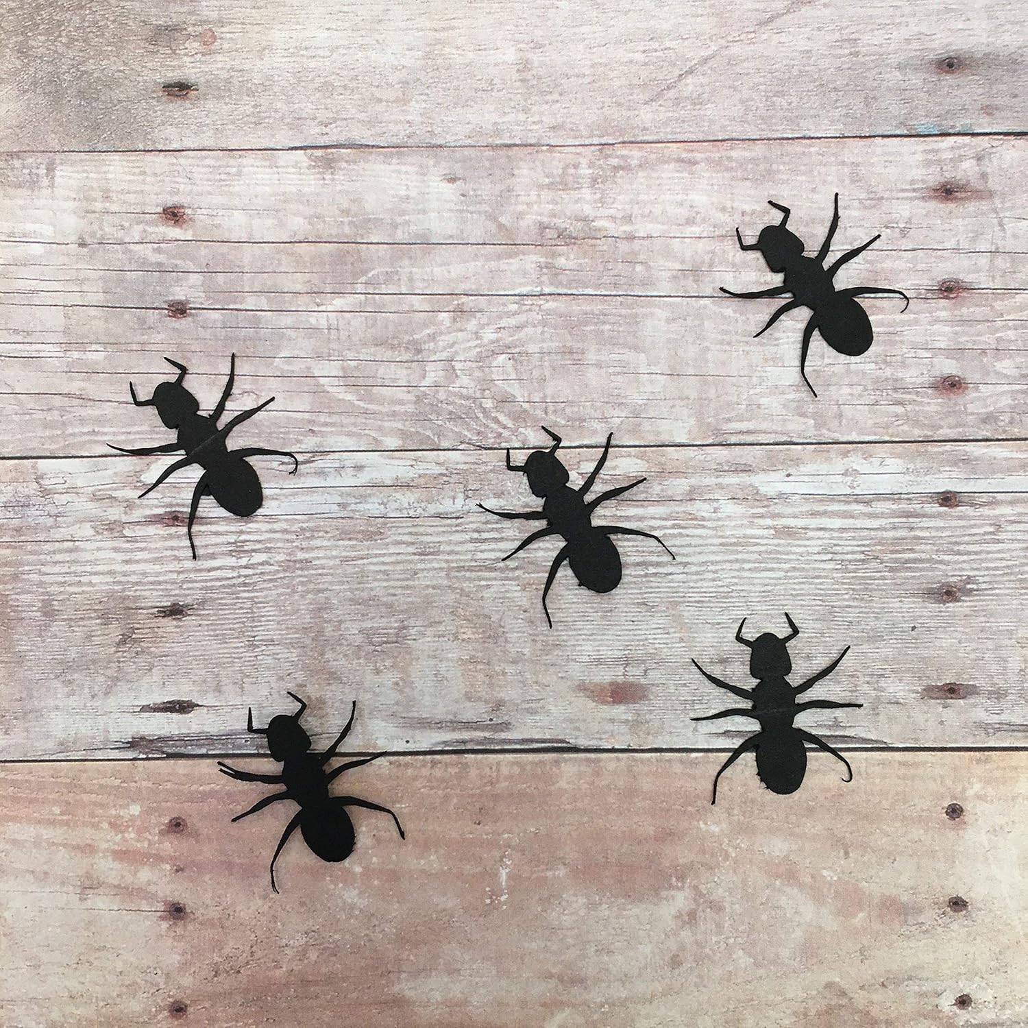 Amazon.com: Ant Confetti, Insect Theme, Bug Decorations, Picnic ...