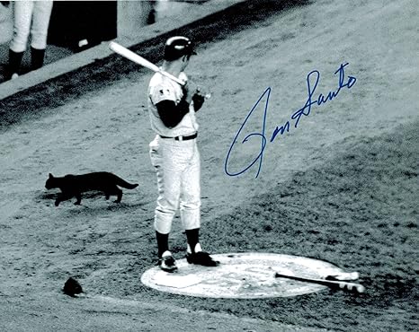 Amazon.com: Ron Santo Signed Autographed Cubs Black Cat 8x10 Photo ...