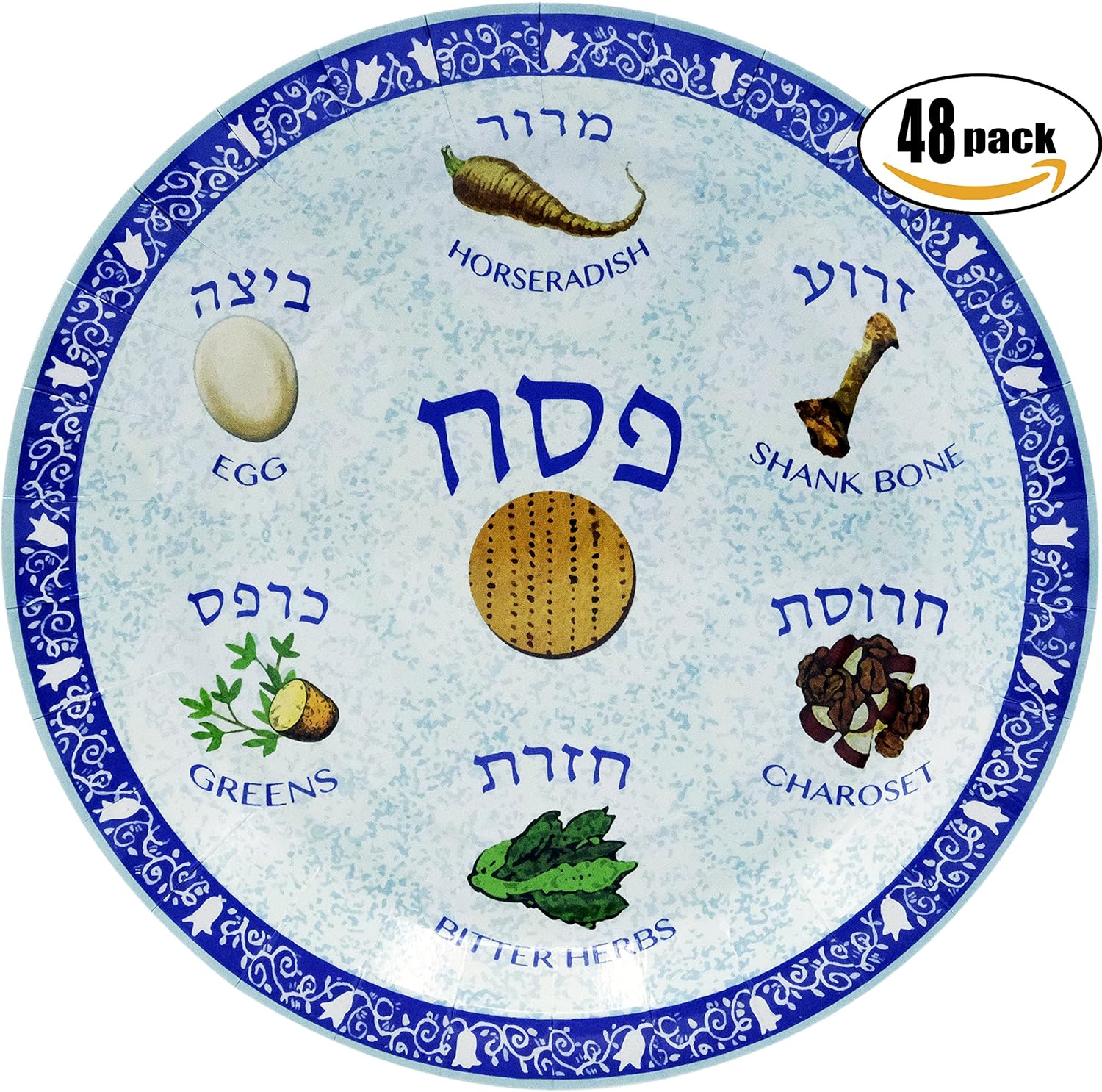 Amazon.com: Passover Seder Plate Design Paper Goods Party Set (Seder ...