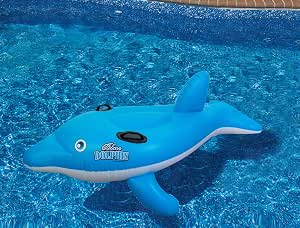 Amazon.com: Swimline Dolphin Stable Pool Float: Sports & Outdoors
