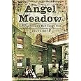 Angel Meadow: Victorian Britain's Most Savage Slum: Kirby, Dean ...