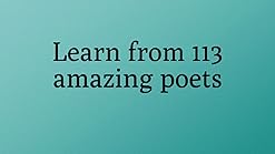 The Practicing Poet: Writing Beyond the Basics: Lockward, Diane ...